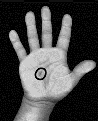 the EYE in the HAND
